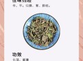 佩兰的功效与作用_佩兰主治哪些病