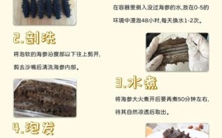 野生海参怎么泡发_野生海参怎么做好吃