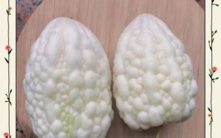 白苦瓜的功效与作用_白苦瓜怎么吃最降火