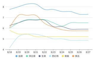 蔬菜价格为什么上涨_蔬菜价格行情最新走势