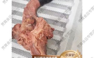 驴鞭为什么叫金钱肉_金钱肉名称由来