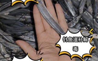 钢针鱼是什么鱼_钢针鱼怎么吃