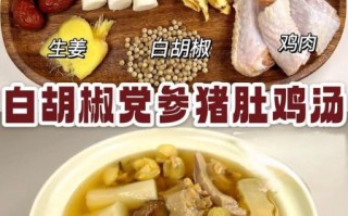 猪肚鸡怎么煲汤_猪肚鸡煲汤放什么药材