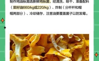 油鸡枞怎么读_油鸡枞的正宗做法