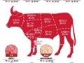 牛肉火锅怎么做_牛肉火锅用什么部位最好