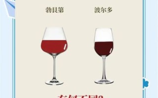 法国红酒怎么选_波尔多和勃艮第区别