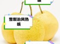 止咳化痰梨哪个品种最好_雪梨和鸭梨区别