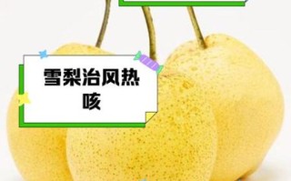 止咳化痰梨哪个品种最好_雪梨和鸭梨区别