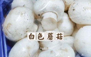 双孢菇用焯水吗_焯水后营养会流失吗