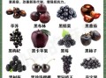 白露吃什么水果好_白露节气水果推荐