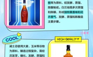 白兰地是什么酒_白兰地和威士忌的区别