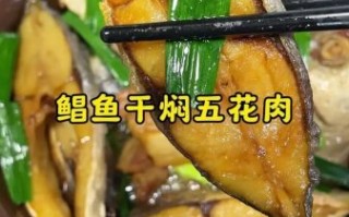 干烧鲳鱼怎么做_干烧鲳鱼用什么配料