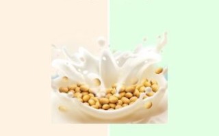 坚持喝豆浆一年有什么变化_长期喝豆浆的副作用