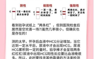 二条杠一定是怀孕了吗_验孕棒假阳性原因