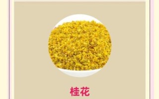 脾胃虚弱不能喝什么茶_三种茶越喝越虚