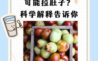 圆枣子的功效与作用_孕妇能吃吗
