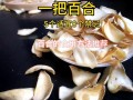 鲜百合怎么吃_鲜百合怎么保存