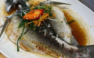 月子餐清蒸鱼做法大全_产后多久可以吃清蒸鱼