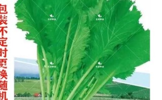 雪菜碧池是什么意思_雪菜碧池出自哪里