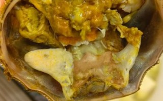 盘锦河蟹多少钱一斤_盘锦河蟹怎么挑