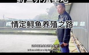 鲟鱼养殖利润怎么样_鲟鱼养殖成本与利润分析