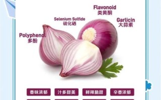 红洋葱的功效与作用_红洋葱怎么吃最健康