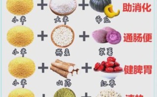 健脾养胃粥的做法大全_如何煮出软糯香滑