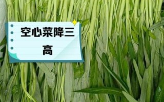 空心菜的营养价值_空心菜的功效与作用
