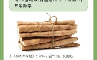 山药的功效与作用及禁忌_哪些人不能吃