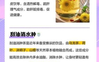 排毒茶喝什么好_哪些茶能天天喝不伤胃