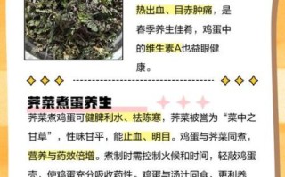 荠菜煮鸡蛋的功效与作用_荠菜煮鸡蛋能降血压吗