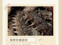 鲜海参怎么处理_鲜海参怎么吃最好