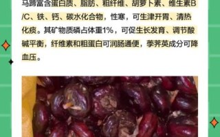 荸荠的功效与作用_荸荠怎么吃最好