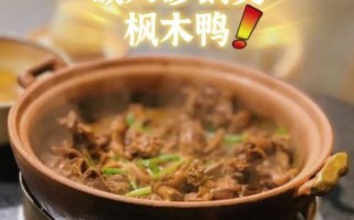 红烧鸭子用什么锅最好_家常做法选锅技巧