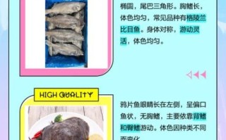 鲽鱼和鸦片鱼的区别_鸦片鱼是鲽鱼吗