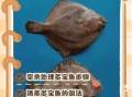 多宝鱼怎么去鱼鳞_多宝鱼鱼鳞处理技巧