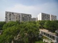 苹果派二手房房价走势_苹果派二手房值得入手吗