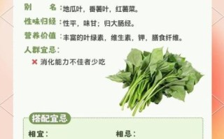 番薯叶的功效与作用_番薯叶的禁忌人群