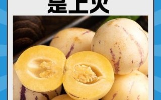 人参果是凉性还是热性_人参果的功效与作用