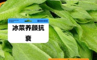 冰菜的功效与禁忌_冰菜怎么吃最健康