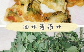 薄荷叶可以做什么_薄荷叶怎么用效果最好