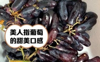 美人指葡萄为什么被淘汰_美人指葡萄缺点