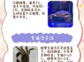 活螃蟹怎么保存_活螃蟹怎么吃法