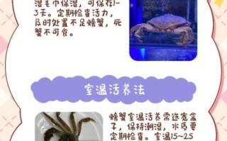 活螃蟹怎么保存_活螃蟹怎么吃法