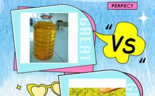 菜籽油和葵花籽油哪个好_健康对比与选购指南