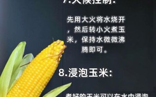 蒸玉米要多久_蒸玉米怎么判断熟没熟