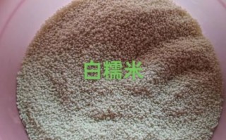 蒸糯米饭的做法大全_蒸糯米需要提前泡多久