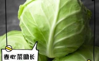 卷心菜的功效与作用_卷心菜的禁忌有哪些