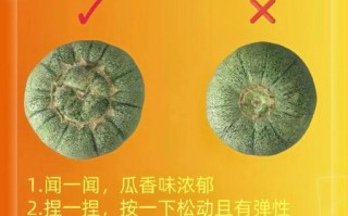 香瓜怎么挑选_香瓜挑选技巧