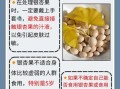 银杏白果的功效与作用_怎么吃最安全